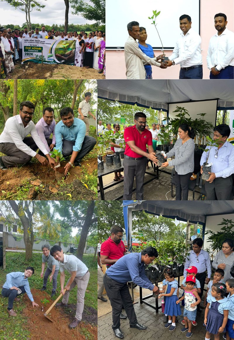 Lankem Agro Launches Nationwide Tree Planting Initiative for World ...